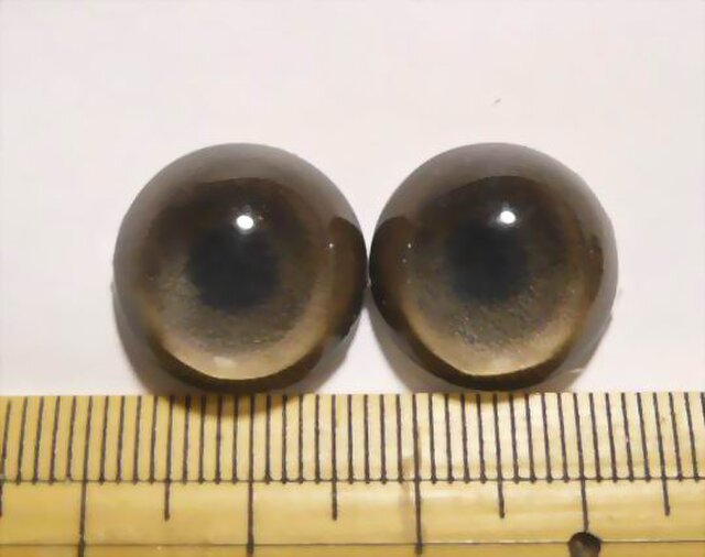 オーダーのお品 半球グラスアイ16mm | iichi ハンドメイド・クラフト作品・手仕事品の通販