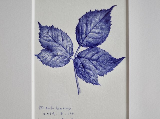 「ブラックベリー」原画 | iichi 日々の暮らしを心地よくするハンドメイドやアンティークのマーケットプレイス