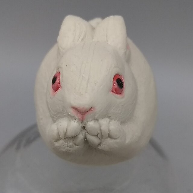 200gAs 脱兎 B | iichi ハンドメイド・クラフト作品・手仕事品の通販