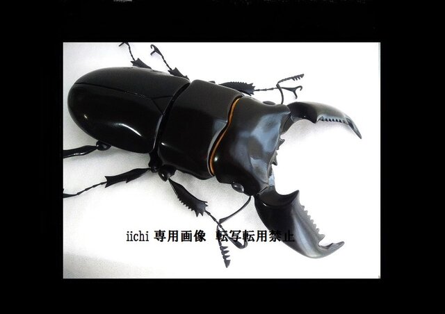 スマトラオオヒラタ MEGA・BIG リアルフィギュア | iichi 日々の暮らしを心地よくするハンドメイドやアンティークのマーケットプレイス