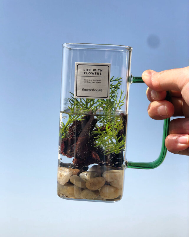 《数量限定》魔法の水 夏の涼しげアイテム マジカルウォーター 透明 テラリウム風 | iichi ハンドメイド・クラフト作品・手仕事品の通販