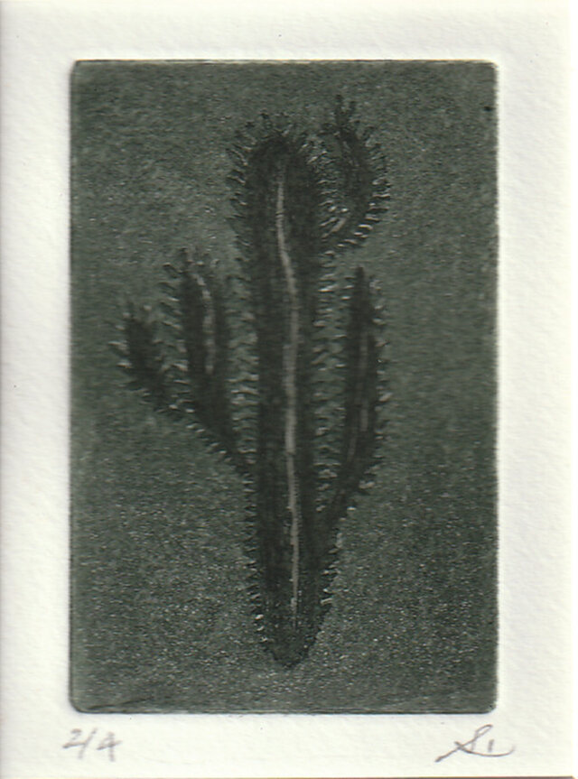 サボテン | iichi ハンドメイド・クラフト作品・手仕事品の通販