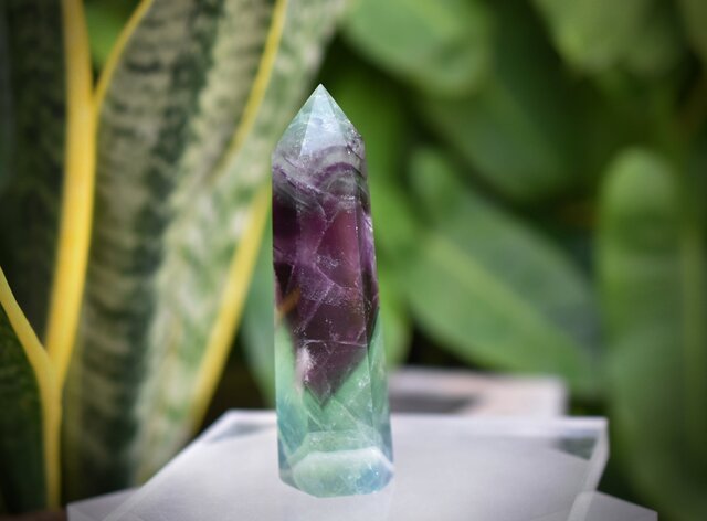 少し羽根★エンジェルフェザーフローライト原石ポイント s847 | iichi 日々の暮らしを心地よくするハンドメイドやアンティークの ...