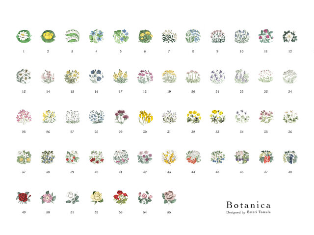 Botanica｜41｜クランベリー / Vaccinium oxycoccos | iichi 日々の暮らしを心地よくするハンドメイドやアンティークのマーケットプレイス