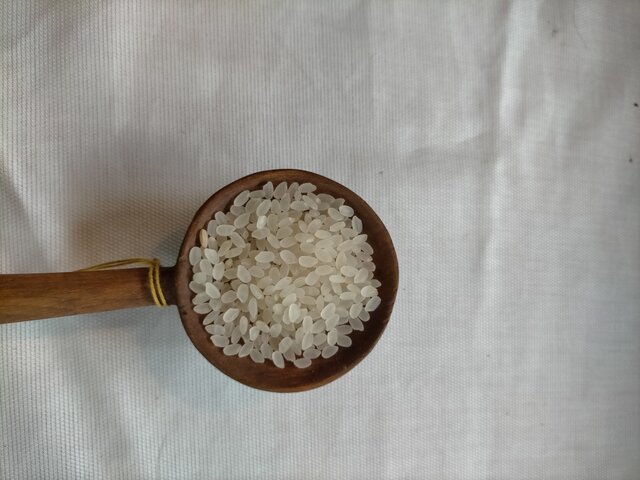 スプーン s.14 | iichi ハンドメイド・クラフト作品・手仕事品の通販