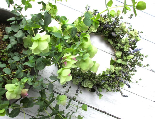 ハーブリース | iichi ハンドメイド・クラフト作品・手仕事品の通販