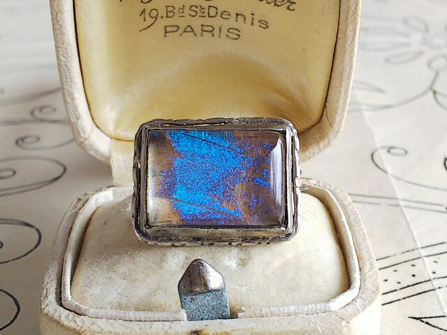 アンティーク モルフォ蝶 アールデコ ブローチ（23×17㎜） | iichi 日々の暮らしを心地よくするハンドメイドやアンティークのマーケットプレイス