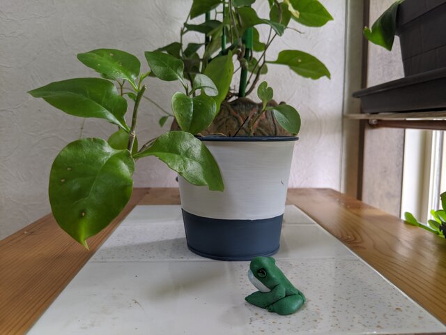 うさじーうさばー「Summer nightコンサート」 | iichi ハンドメイド・クラフト作品・手仕事品の通販