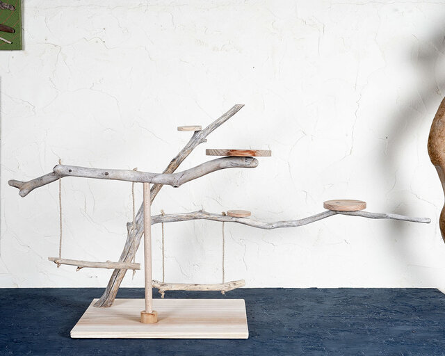 【バードランドの子守歌】流木の止まり木 バードスタンド、止まり木、飾り棚 117 | iichi ハンドメイド・クラフト作品・手仕事品の通販