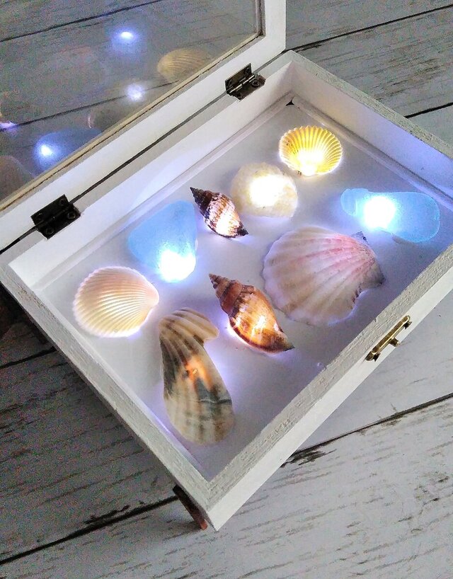 きらめく貝殻がつまった小函～SHELL LIGHT BOX | iichi ハンドメイド・クラフト作品・手仕事品の通販