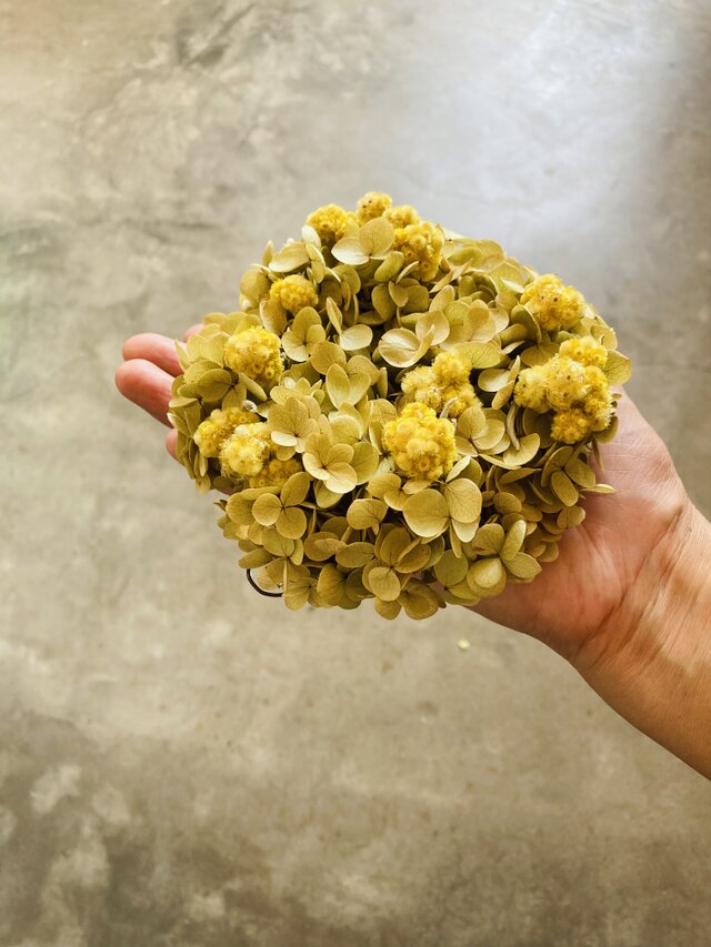 アナベル(極小) Ⅲ ~母子草 | iichi ハンドメイド・アンティーク・食品・ギフト・手作り