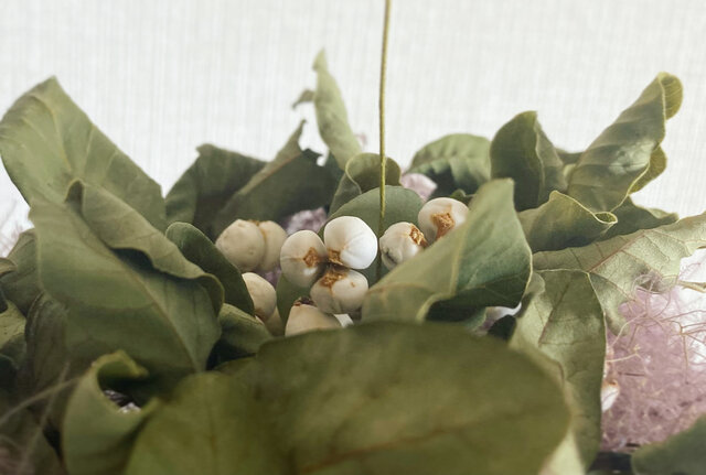 スモークツリーのフライングフラワーボール･リース ruby (b) | iichi ハンドメイド・アンティーク・食品・ギフト・手作り