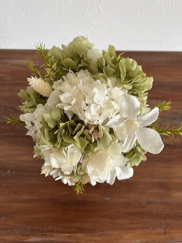 Denphale / デンファレ（秋色） ポットアレンジⓁ | iichi 日々の暮らしを心地よくするハンドメイドやアンティークのマーケットプレイス