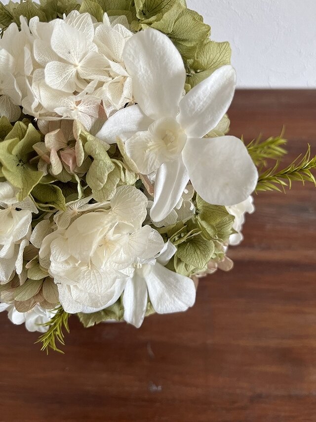 Denphale / デンファレ（秋色） ポットアレンジⓁ | iichi 日々の暮らしを心地よくするハンドメイドやアンティークのマーケットプレイス