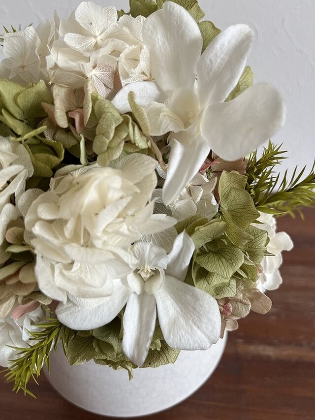 Denphale / デンファレ（秋色） ポットアレンジⓁ | iichi 日々の暮らしを心地よくするハンドメイドやアンティークのマーケットプレイス