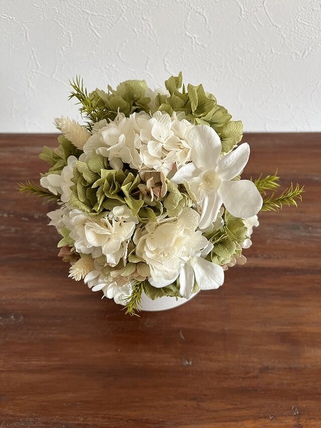 Denphale / デンファレ（秋色） ポットアレンジⓁ | iichi 日々の暮らしを心地よくするハンドメイドやアンティークのマーケットプレイス