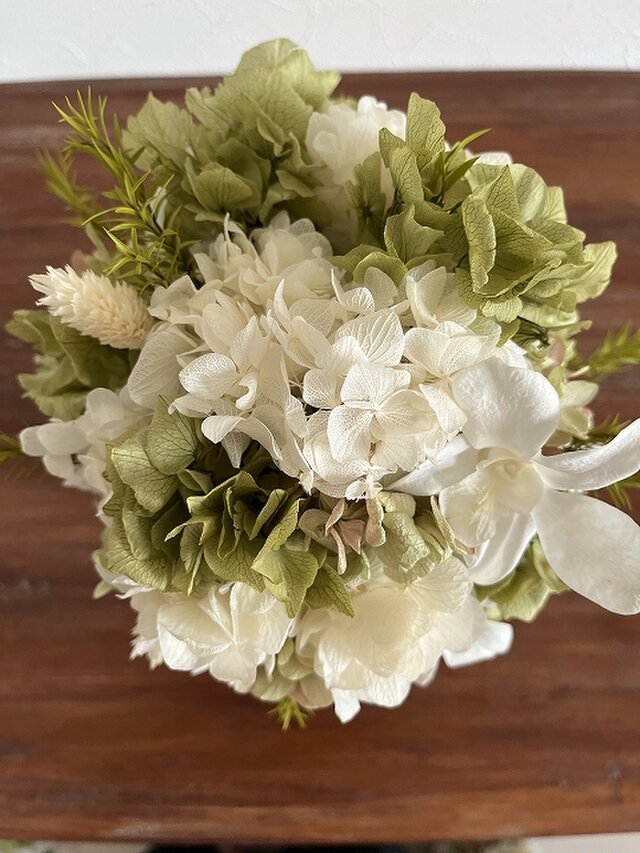 Denphale / デンファレ（秋色） ポットアレンジⓁ | iichi 日々の暮らしを心地よくするハンドメイドやアンティークのマーケットプレイス