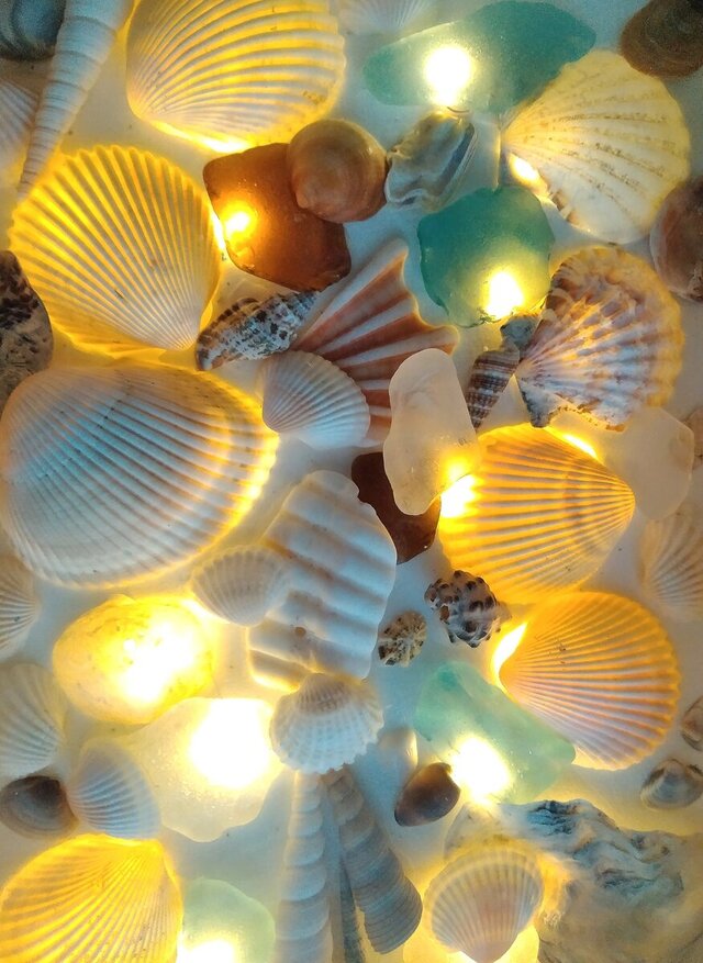 きらめく貝殻ボックス～SHELL LIGHT BOX | iichi 日々の暮らしを心地よくするハンドメイドやアンティークのマーケットプレイス