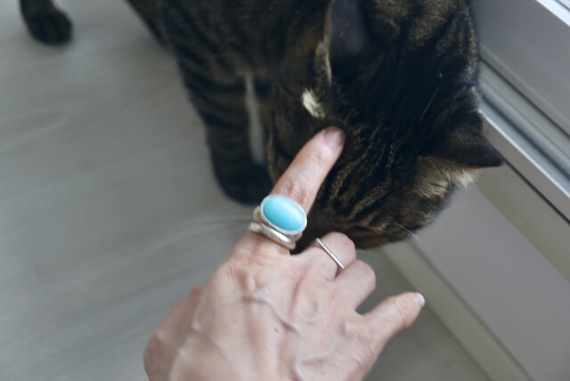 [amazonからのblue gift]ring | iichi 日々の暮らしを心地よくするハンドメイドやアンティークのマーケットプレイス