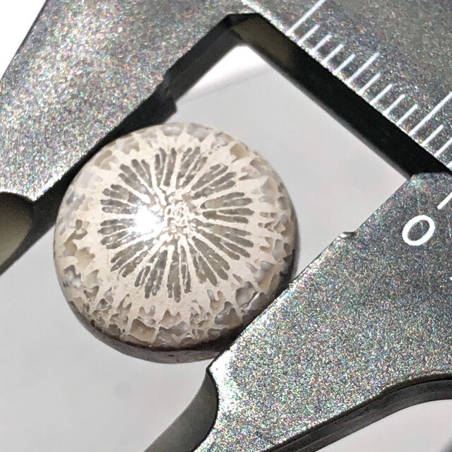 フォッシルコーラル[212] 14mm 7Cts 天然石 ／ ルース ／カボション | iichi 日々の暮らしを心地よくするハンドメイドやアンティークのマーケットプレイス