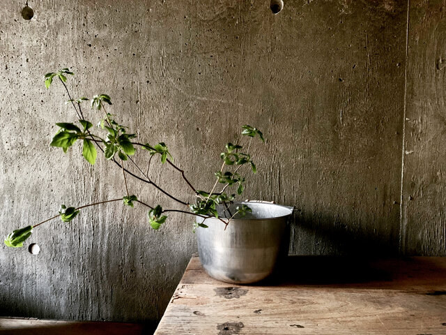 豆バケツ 小 | iichi 日々の暮らしを心地よくするハンドメイドやアンティークのマーケットプレイス