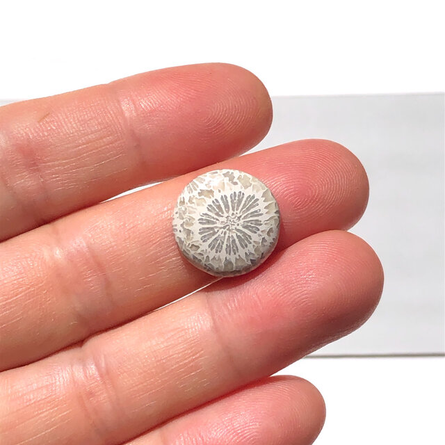 フォッシルコーラル[216] 15mm 8Cts 天然石 ／ ルース ／カボション | iichi 日々の暮らしを心地よくするハンドメイドやアンティークのマーケットプレイス
