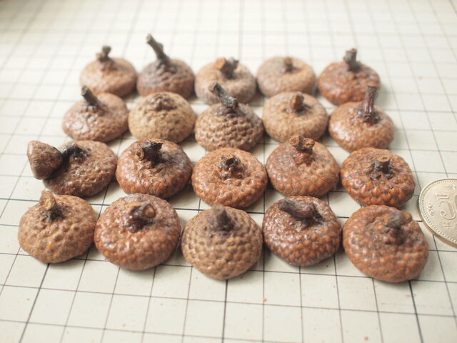 どんぐり帽子 大きい！2.3㎝ 20個 10円玉よりちょっと大きい No.19 | iichi 日々の暮らしを心地よくするハンドメイドやアンティークのマーケットプレイス