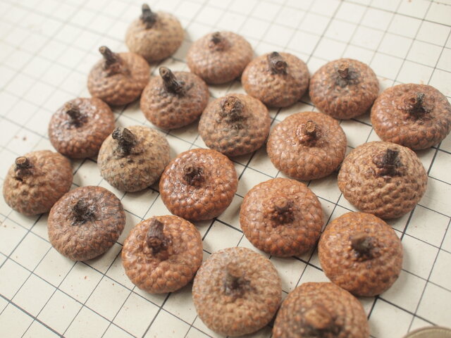 どんぐり帽子20個 大きい！2.3㎝ 10円玉よりちょっと大きい No.20 | iichi 日々の暮らしを心地よくするハンドメイドや ...