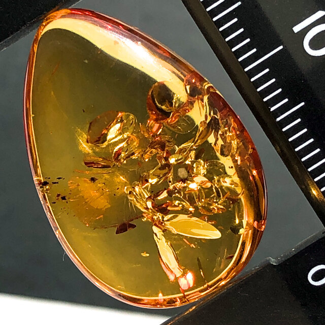 バルティックアンバー[152] 28x19mm 天然石 ／ ルース ／カボション | iichi 日々の暮らしを心地よくするハンドメイドやアンティークのマーケットプレイス