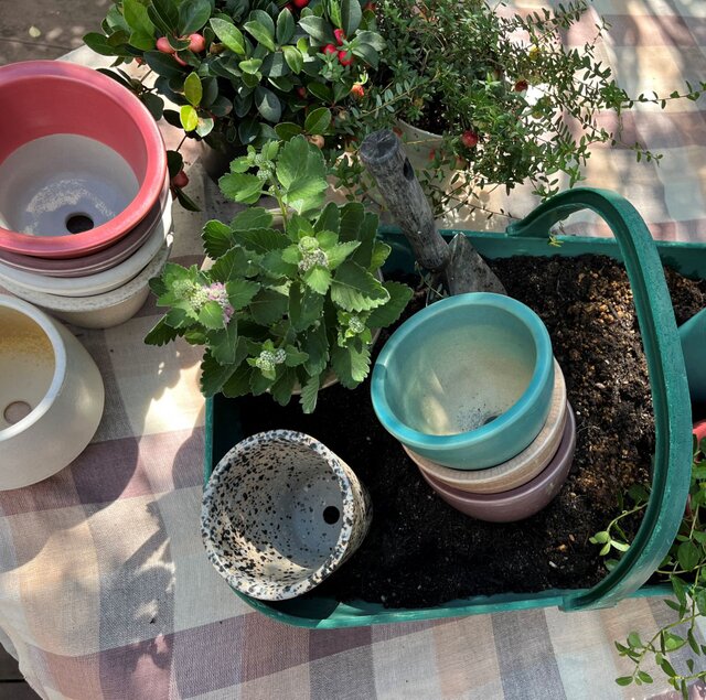 2023 Christmas 「Snow / スノー」 ポットアレンジキャンドル付き ML | iichi 日々の暮らしを心地よくするハンドメイドやアンティークのマーケットプレイス