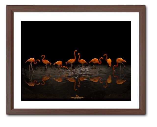 【額付アート写真/A3サイズ】EACH OF FLAMINGOS（それぞれのフラミンゴ） | iichi 日々の暮らしを心地よくするハンドメイドやアンティークのマーケットプレイス