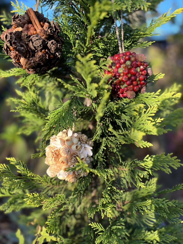 クリスマスオーナメント 森のクリスマス ~木の実とドライフラワー♩3点セット | iichi 日々の暮らしを心地よくするハンドメイドやアンティークのマーケットプレイス