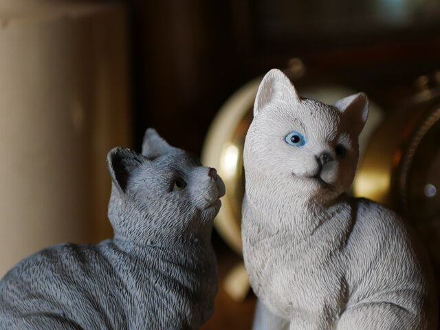 白い猫 Chat Blanc フランスヴィンテージ ブロカントのある暮らし | iichi 日々の暮らしを心地よくするハンドメイドやアンティークのマーケットプレイス