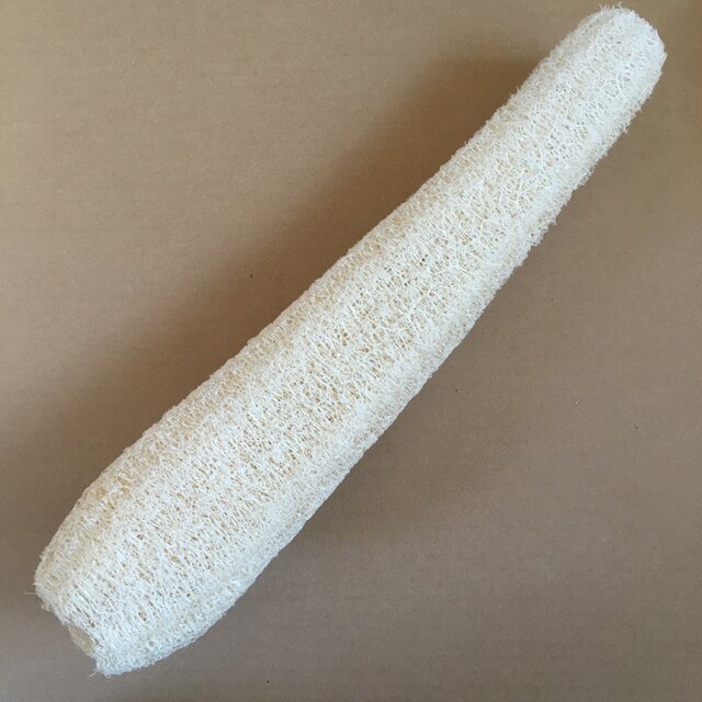 【信州産】 へちま 43cm 除菌漂白済 20231206#20 | iichi 日々の暮らしを心地よくするハンドメイドやアンティークのマーケットプレイス