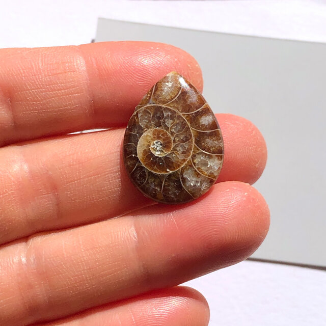 アンモナイト[111] 25x18mm 13Cts 天然石 ／ ルース ／カボション | iichi 日々の暮らしを心地よくするハンドメイドやアンティークのマーケットプレイス