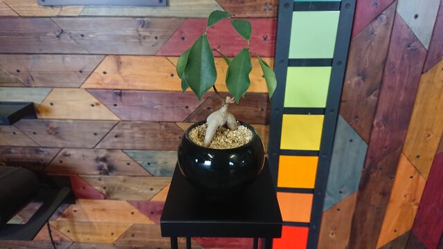 マットブラックでアイアンなプランタースタンド♪ 150×150×650mm | iichi 日々の暮らしを心地よくするハンドメイドやアンティークのマーケットプレイス