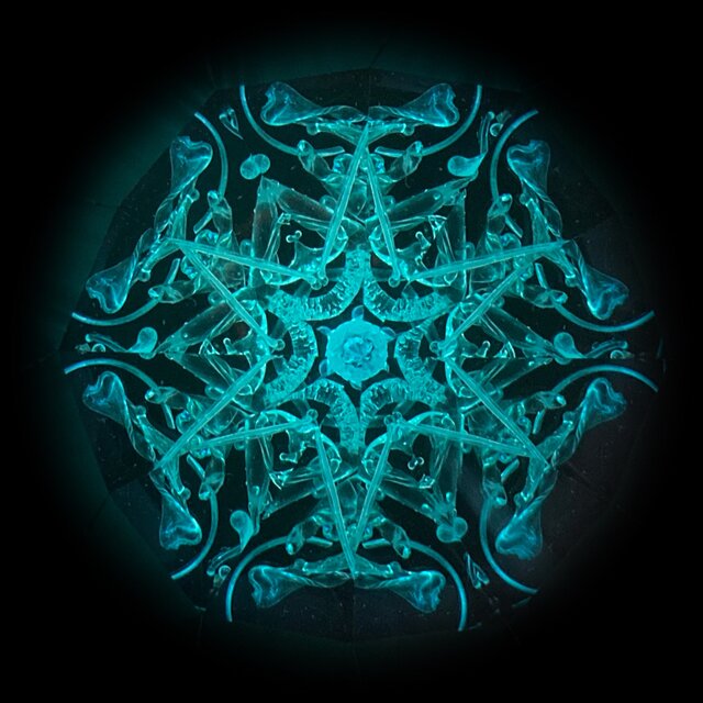 Aurora | iichi 日々の暮らしを心地よくするハンドメイドやアンティークのマーケットプレイス