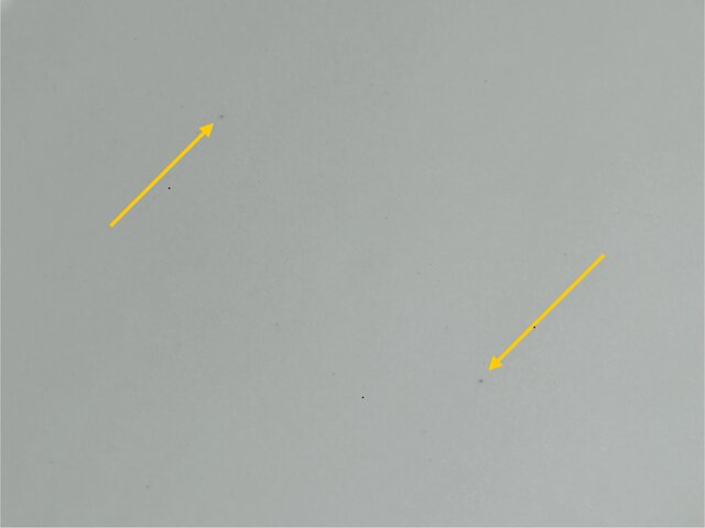 ARABIA / Villiruusu / プレート23.0cm No.4637 | iichi 日々の暮らしを心地よくするハンドメイドやアンティークのマーケットプレイス