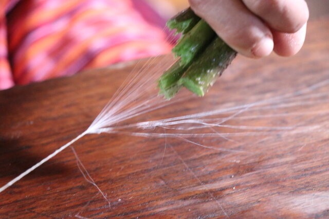 100%蓮ストール | iichi 日々の暮らしを心地よくするハンドメイドやアンティークのマーケットプレイス