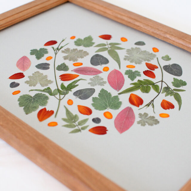 Pressed flower フレーム〜押し花アート〜A4 Cherry | iichi 日々の暮らしを心地よくするハンドメイドやアンティークのマーケットプレイス