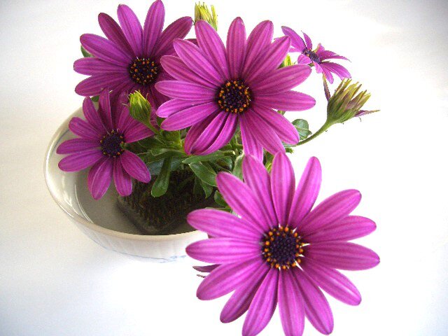 【k様専用】ショールカラージャッケト ブラック | iichi 日々の暮らしを心地よくするハンドメイドやアンティークのマーケットプレイス