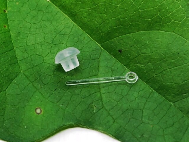 透明感を纏うピアス item10 | iichi 日々の暮らしを心地よくするハンドメイドやアンティークのマーケットプレイス