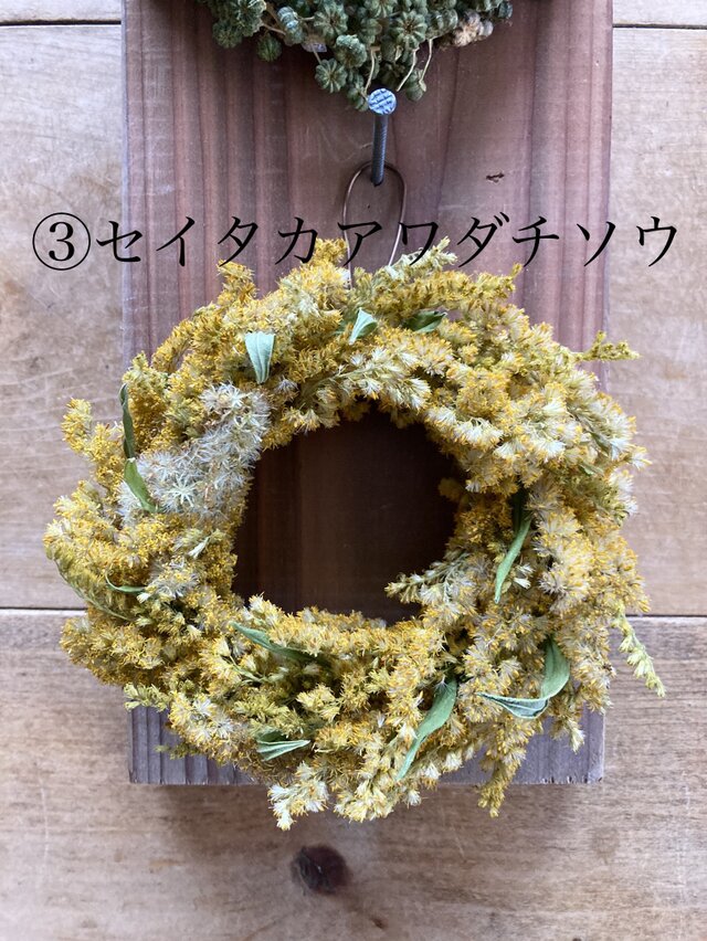 8種類の野草 ~直径約10cm手のひらリース | iichi 日々の暮らしを心地よくするハンドメイドやアンティークのマーケットプレイス