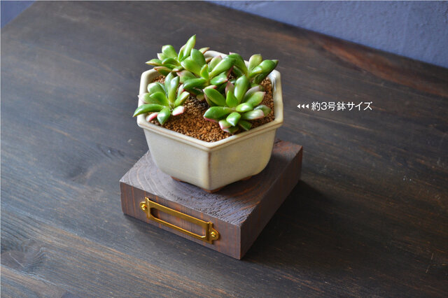 木製プランタースタンド＜wood stage＞/真鍮のネームプレート(マットグレーorダークブラック) | iichi 日々の暮らしを心地よくするハンドメイドやアンティークのマーケットプレイス