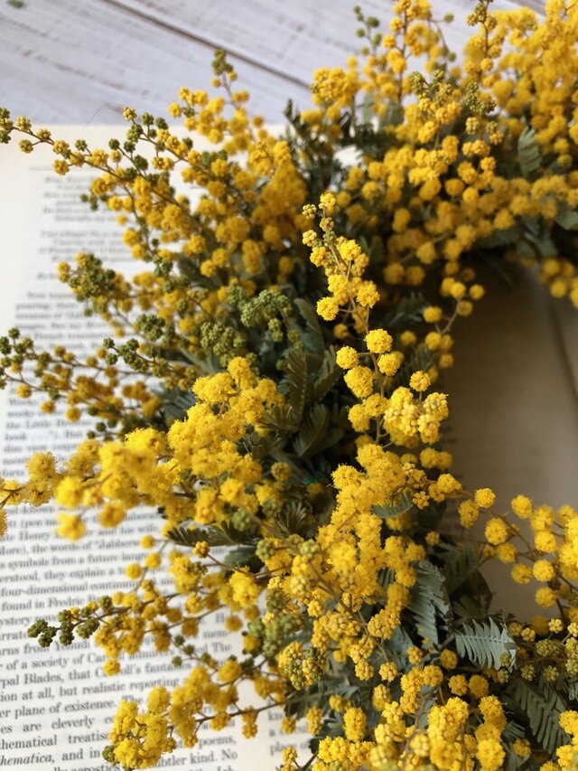 たっぷりミモザのリース ボリュームに命をかけて作りました 直径22～24cm | iichi 日々の暮らしを心地よくするハンドメイドやアンティークのマーケットプレイス