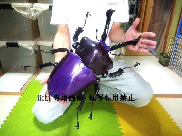 ニジイロクワガタ MEGA・BIG リアルフィギュア | iichi 日々の暮らしを心地よくするハンドメイドやアンティークのマーケットプレイス