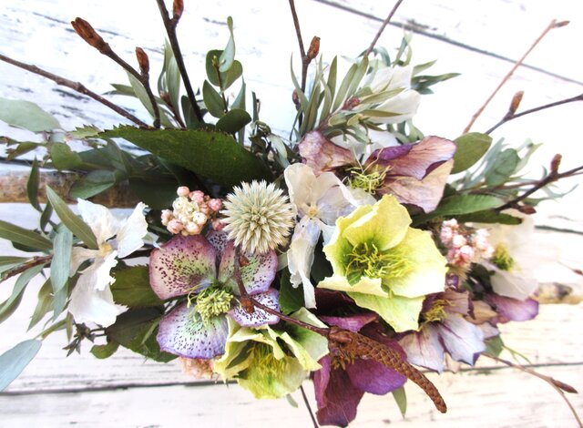 レンテンローズ（春咲クリスマスローズ）A | iichi 日々の暮らしを心地よくするハンドメイドやアンティークのマーケットプレイス