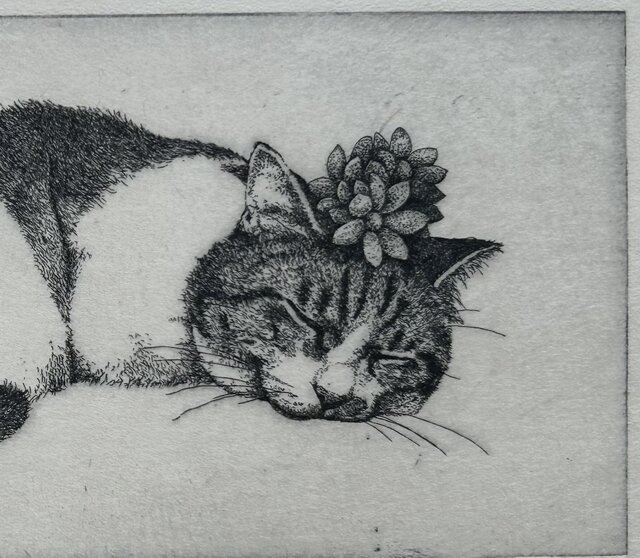 猫 銅版画 額入り | iichi 日々の暮らしを心地よくするハンドメイドやアンティークのマーケットプレイス