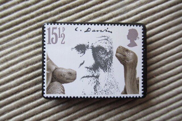 イギリス ダウイン切手ブローチ 9585 | iichi 日々の暮らしを心地よくするハンドメイドやアンティークのマーケットプレイス