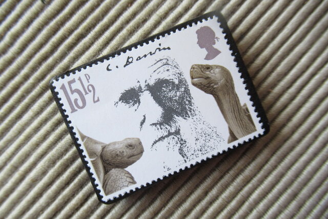 イギリス ダウイン切手ブローチ 9585 | iichi 日々の暮らしを心地よくするハンドメイドやアンティークのマーケットプレイス